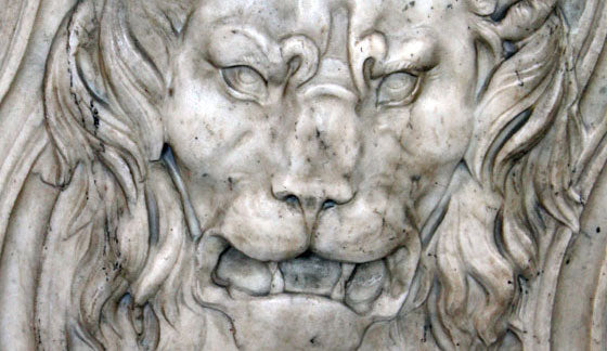 Lions of Europe – Catina H